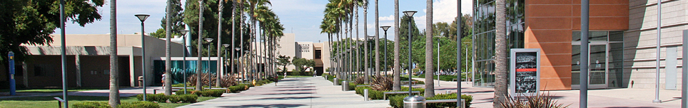 Home - Academic Master Plan | CSUF