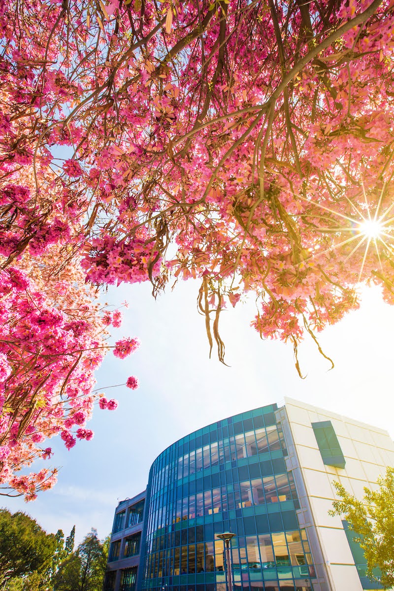 Outreach, Recruitment, and Orientation | CSUF