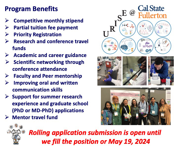 U-RISE at Cal State Fullerton | CSUF - U-RISE at Cal State Fullerton