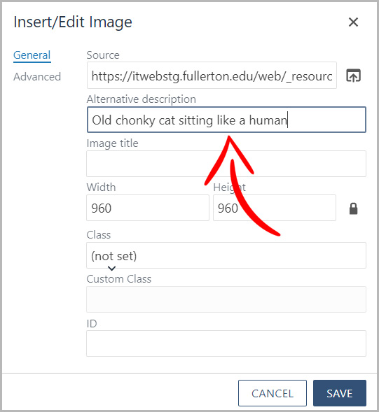 Toolbar Basics | CSUF - Web Services